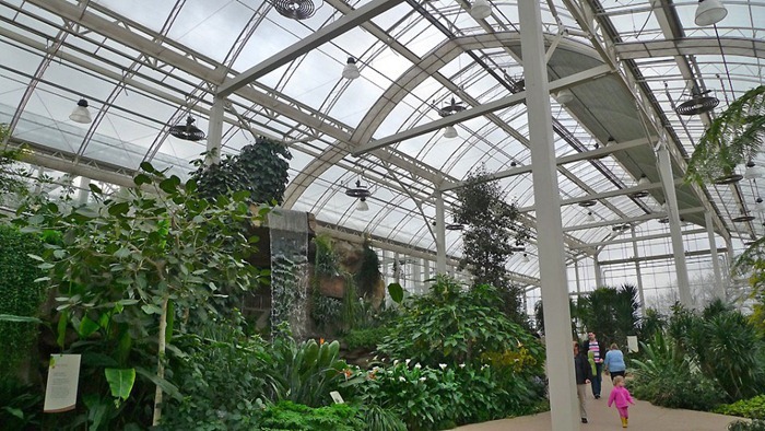 Butterfly Exhibition at RHS Garden Wisley, UK | Amusing Planet